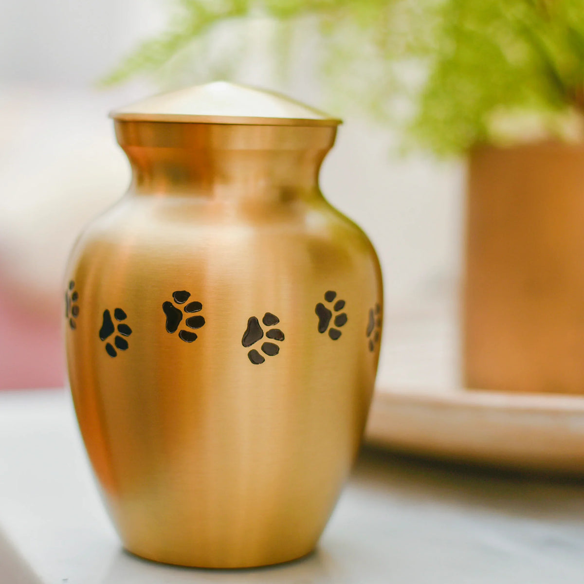 Anfora Huella Clasica de Bronce ceniza mascota – Almascotas Chile
